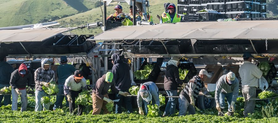 The Philippine Reporter - Protecting the health and rights of migrant agricultural workers ...